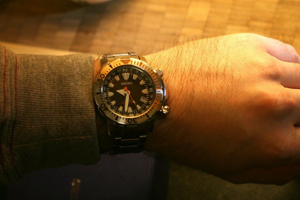 Seiko Landmonster SNM035